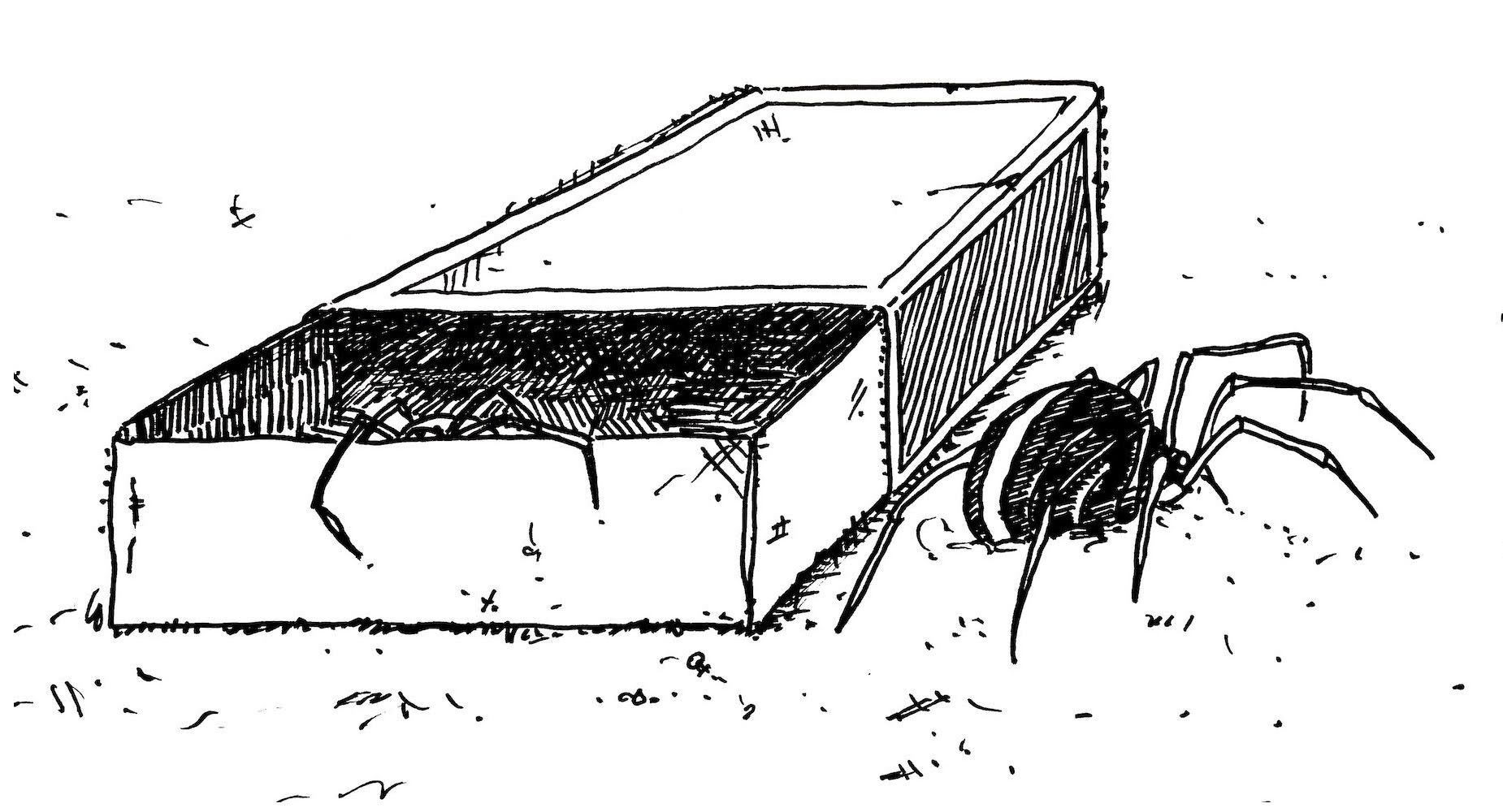 #5 🏠 Spiders, scissors and sibling rivalry 🕷️